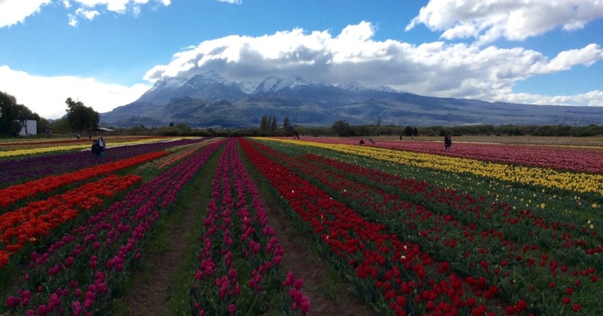 UWTSD staff encourage graduates to go and work in Patagonia ...