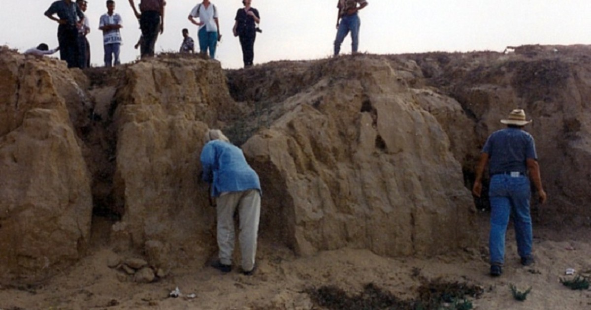 “Origins of Gaza” – UWTSD professor features on ancient history podcast ...