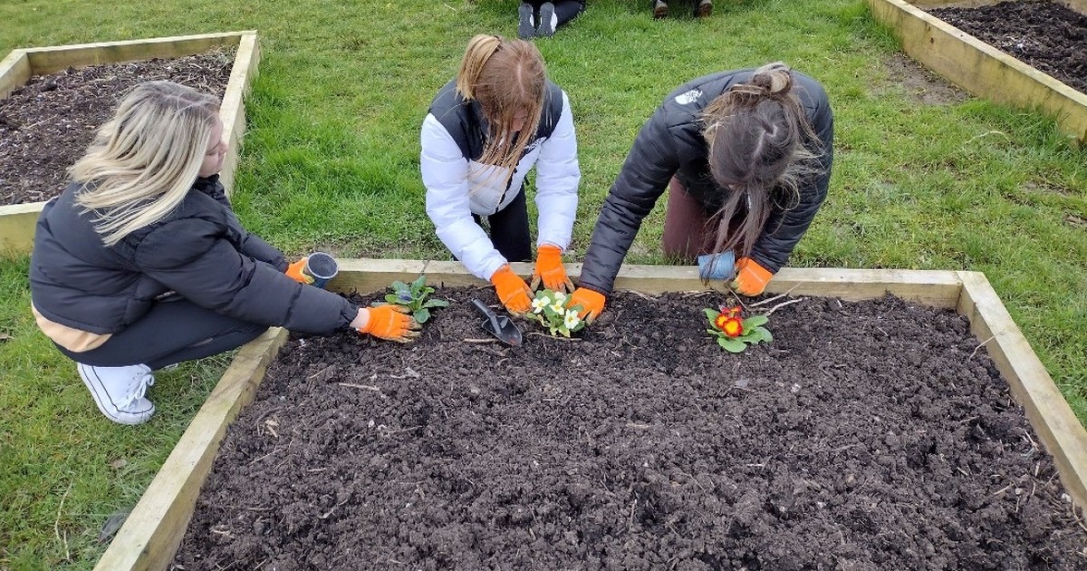 Early Years Team celebrates Wales Outdoor Learning Week. | University ...